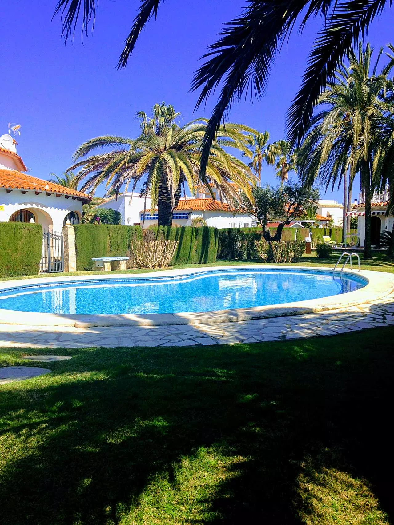 Otoño 2024 Oliva ( Valencia )