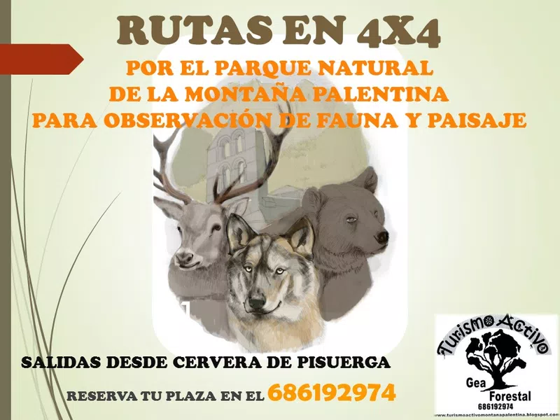 casas rurales Montaña Palentina en verano, rural montaña palentina,